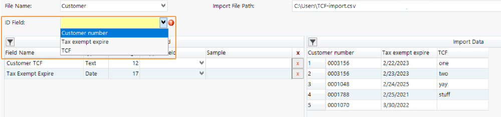 Import data into custom fields